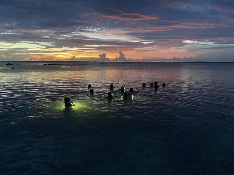 Exploring the ocean’s treasures in Florida Keys - SANIBEL-CAPTIVA ...